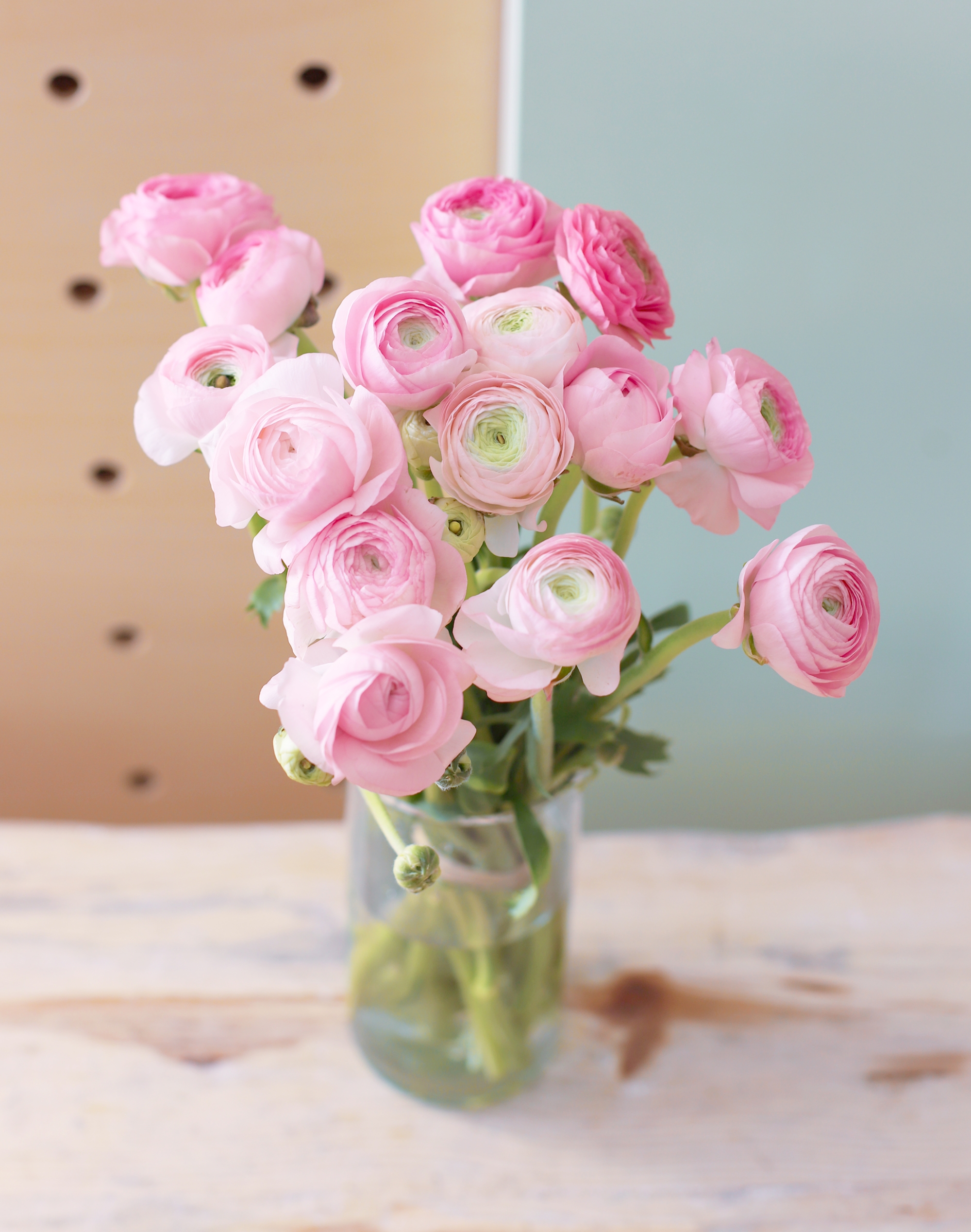 Botte de 15 Renoncules roses – Livraison de fleurs : Botte de ...