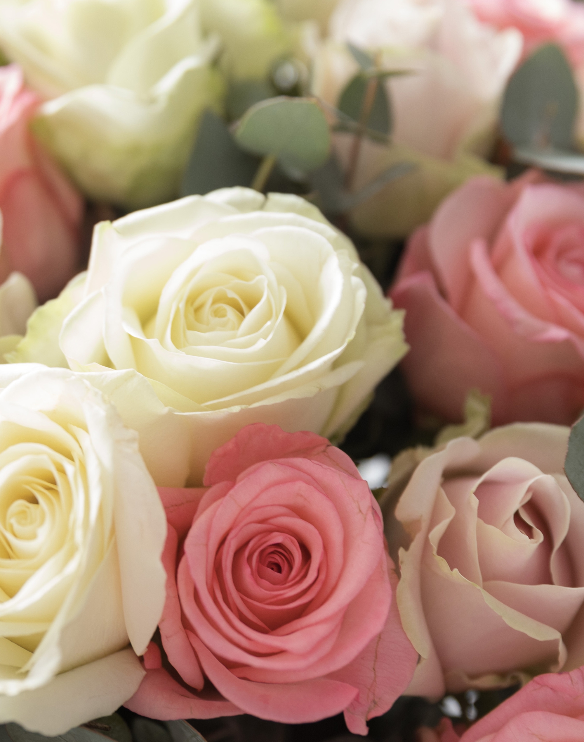 Bouquet de 30 Roses - Pastel - Passionnément – Bouquet de Roses - Pastel