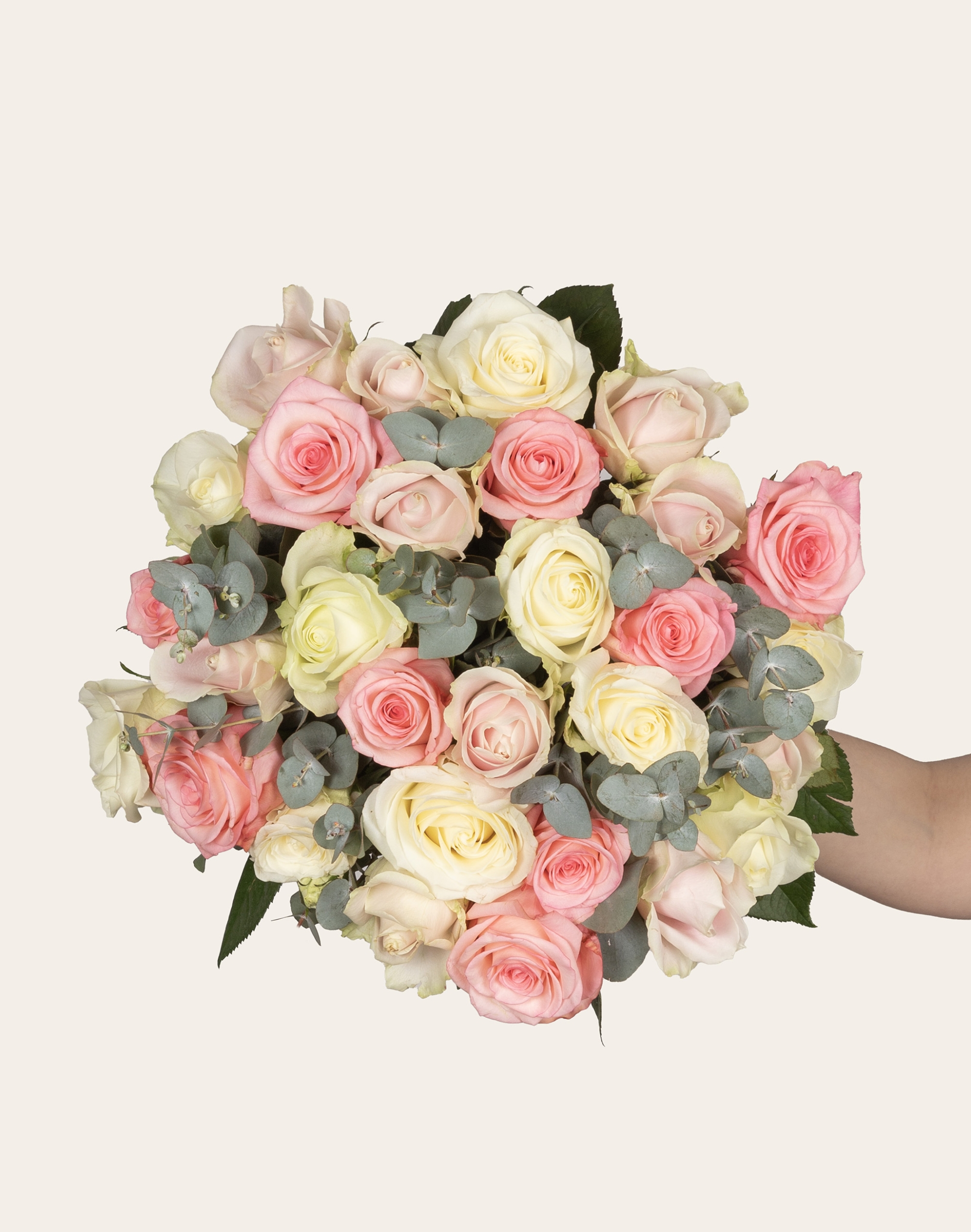 Bouquet de 20 Roses - Pastel - Beaucoup – Bouquet de Roses - Pastel